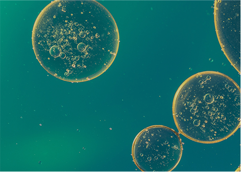 FHL Therapeutics